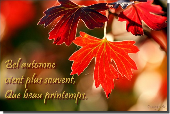 Dicton d'automne