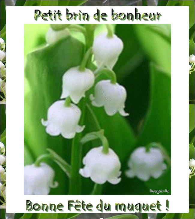 Bonne Fête du Muguet